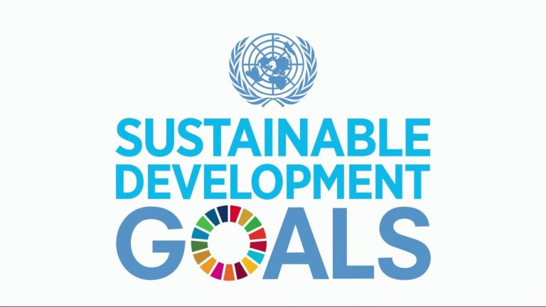 Sustainable Development Goals (SDG) Day 2019 - Makomborero